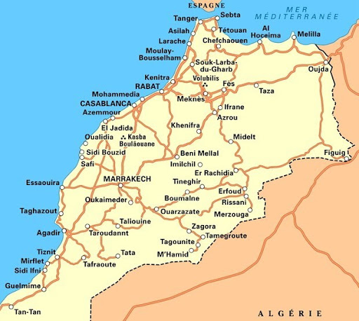 On aime le Maroc pour ...: Palmier-dattier